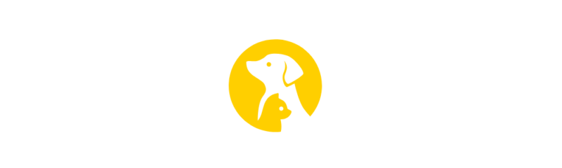 Abscesos en Perros: 7 Causas Comunes y Cómo Curarlos Rápidamente